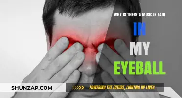 Understanding Mylohyoid Muscle Pain: Causes, Symptoms, And Relief ...