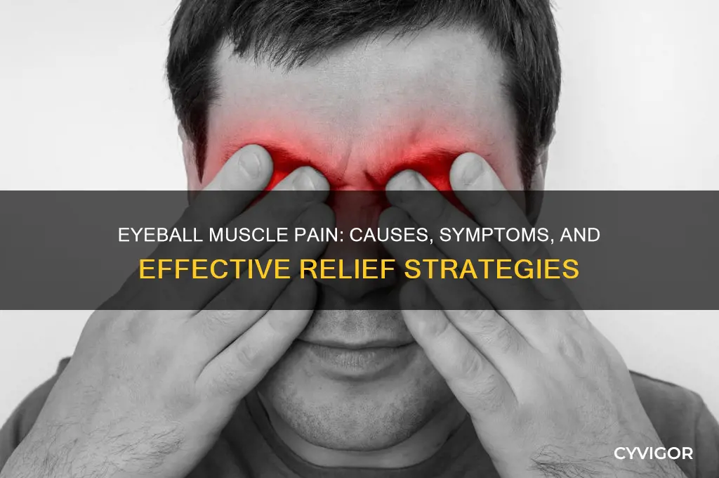 Eyeball Muscle Pain: Causes, Symptoms, And Effective Relief Strategies ...