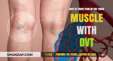 Understanding Mylohyoid Muscle Pain: Causes, Symptoms, And Relief ...