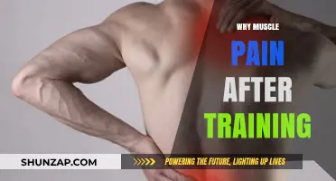 Understanding Left And Right Back Shoulder Side Muscle Pain Causes ...