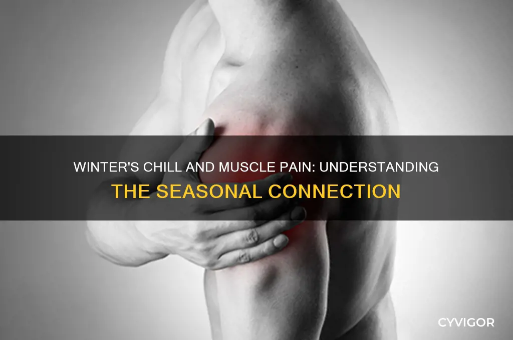 Winter's Chill And Muscle Pain: Understanding The Seasonal Connection ...