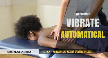 How Muscles Move: Unconscious Twitching Explained | CyVigor