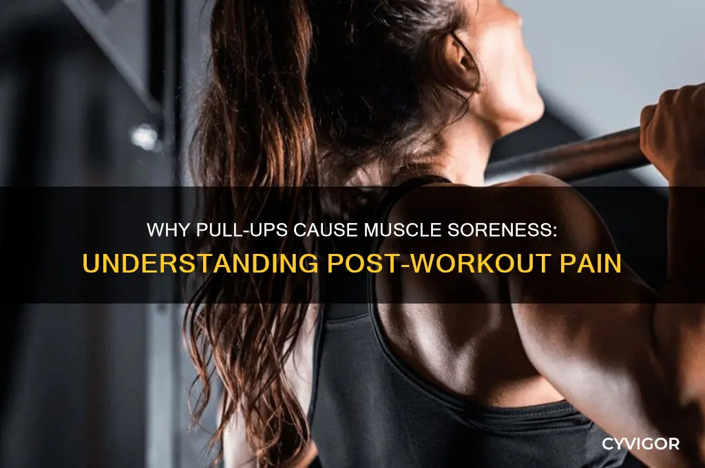Why Pull-Ups Cause Muscle Soreness: Understanding Post-Workout Pain ...