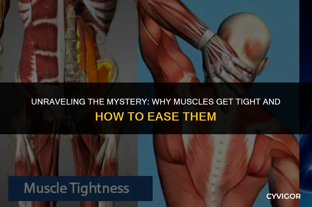 Unraveling The Mystery: Why Muscles Get Tight And How To Ease Them ...
