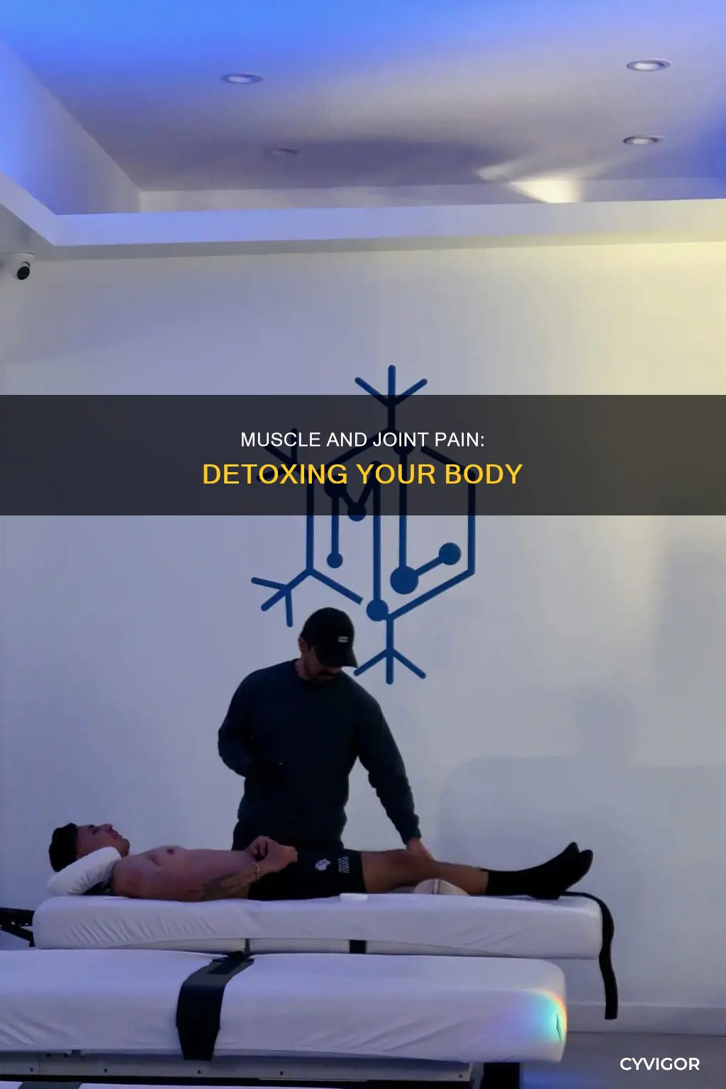 Muscle And Joint Pain: Detoxing Your Body | CyVigor