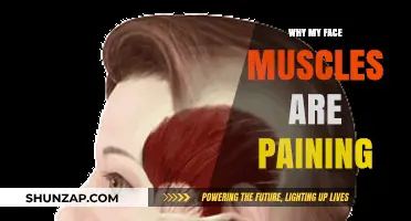 Understanding Scapula Muscle Pain: Causes, Symptoms, And Effective ...