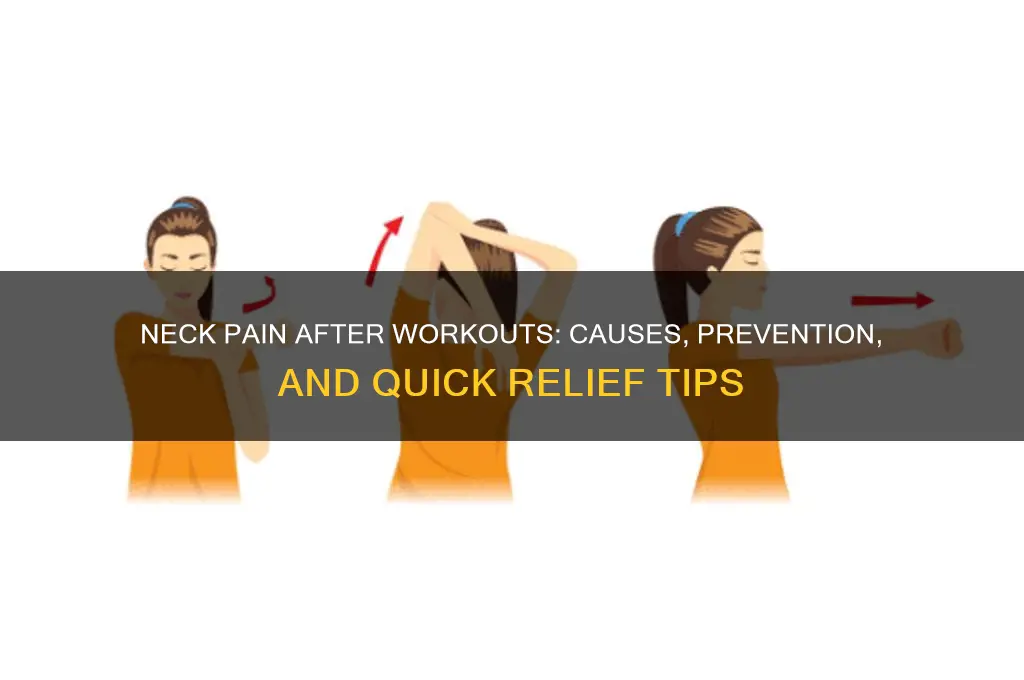 Neck Pain After Workouts: Causes, Prevention, And Quick Relief Tips ...