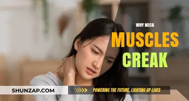 Muscle Atrophy: Understanding The Science Behind Wasting Muscles | CyVigor
