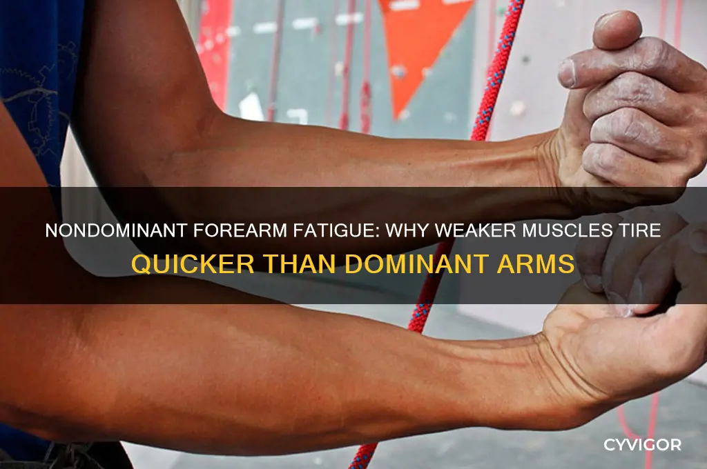 Nondominant Forearm Fatigue: Why Weaker Muscles Tire Quicker Than ...