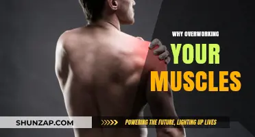 Muscular Men: Why Women Find Them Irresistible | CyVigor