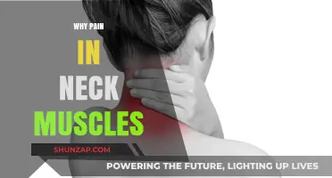 Understanding Facial Muscle Pain: Causes, Remedies, And When To Seek ...