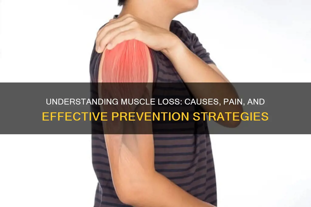 Understanding Muscle Loss: Causes, Pain, And Effective Prevention ...
