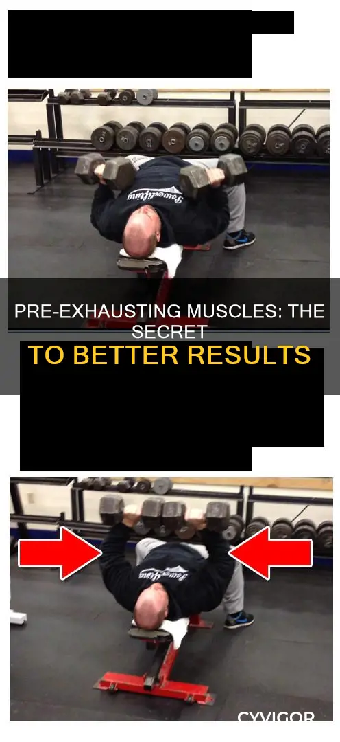 Pre-Exhausting Muscles: The Secret To Better Results | CyVigor