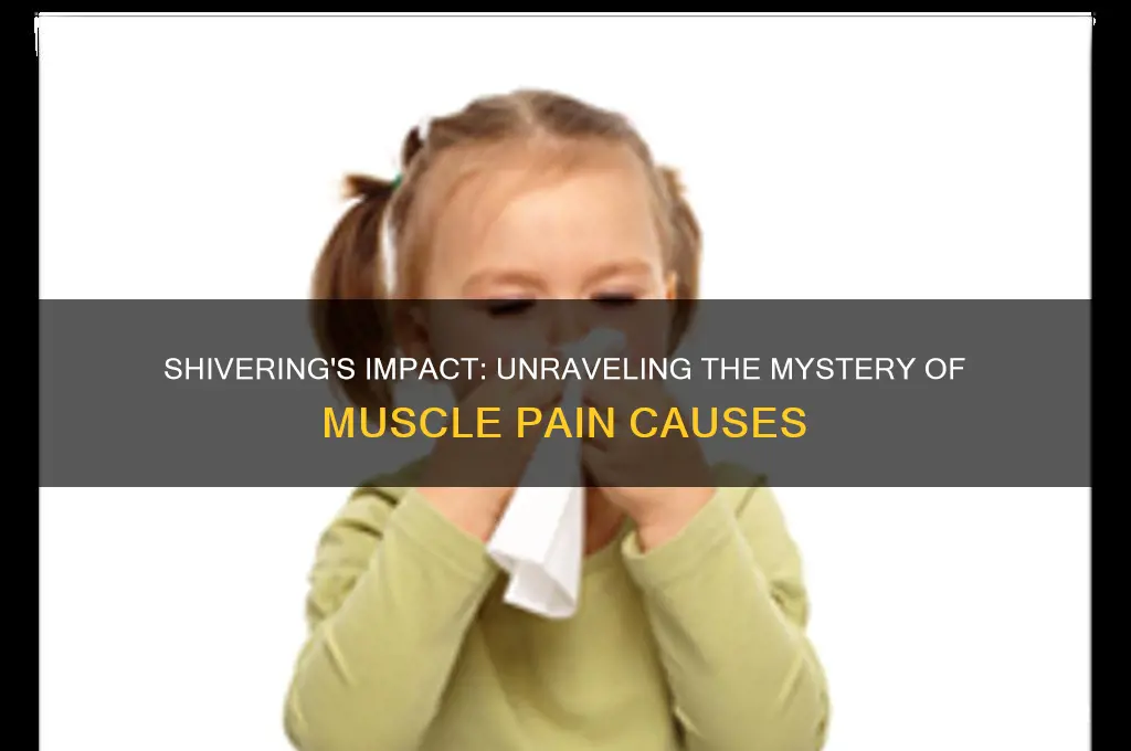 Shivering's Impact: Unraveling The Mystery Of Muscle Pain Causes | CyVigor