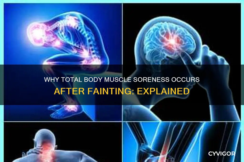 Why Total Body Muscle Soreness Occurs After Fainting: Explained | CyVigor