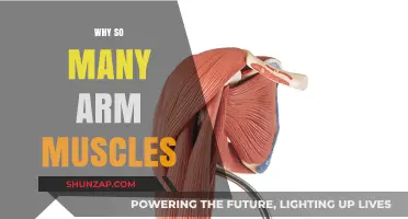 Understanding Arm Muscle Lumps: Causes, Concerns, And When To Seek Help ...