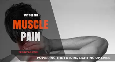 Understanding Scapula Muscle Pain: Causes, Symptoms, And Effective ...