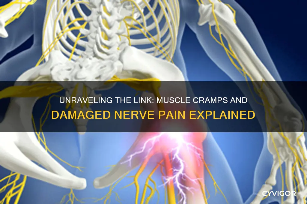Unraveling The Link: Muscle Cramps And Damaged Nerve Pain Explained ...
