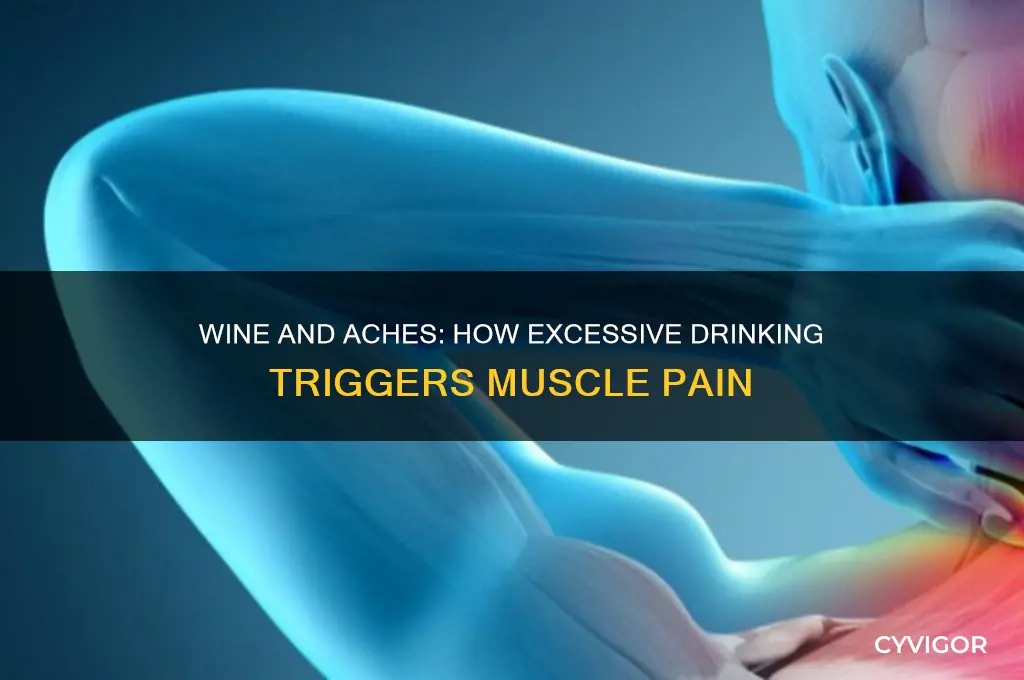 Wine And Aches: How Excessive Drinking Triggers Muscle Pain | CyVigor
