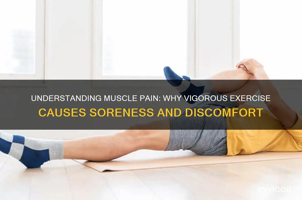 Understanding Muscle Pain: Why Vigorous Exercise Causes Soreness And ...