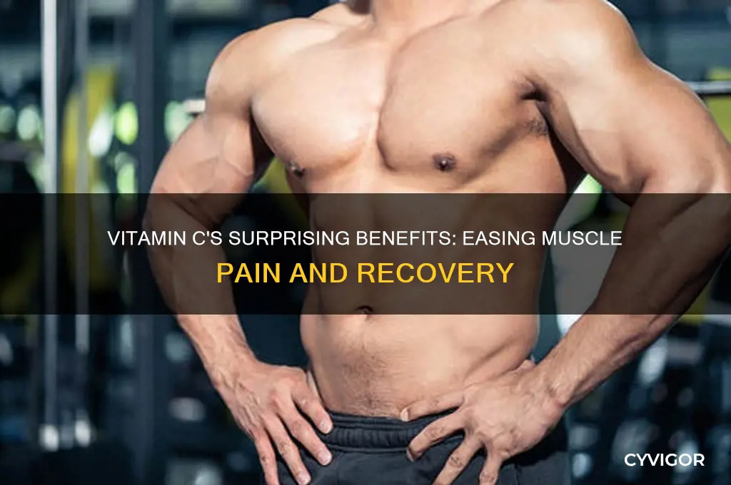 Vitamin C's Surprising Benefits: Easing Muscle Pain And Recovery | CyVigor
