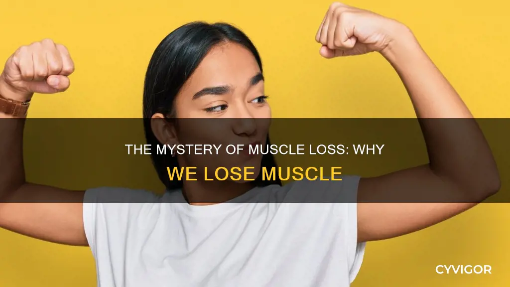 The Mystery Of Muscle Loss: Why We Lose Muscle | CyVigor