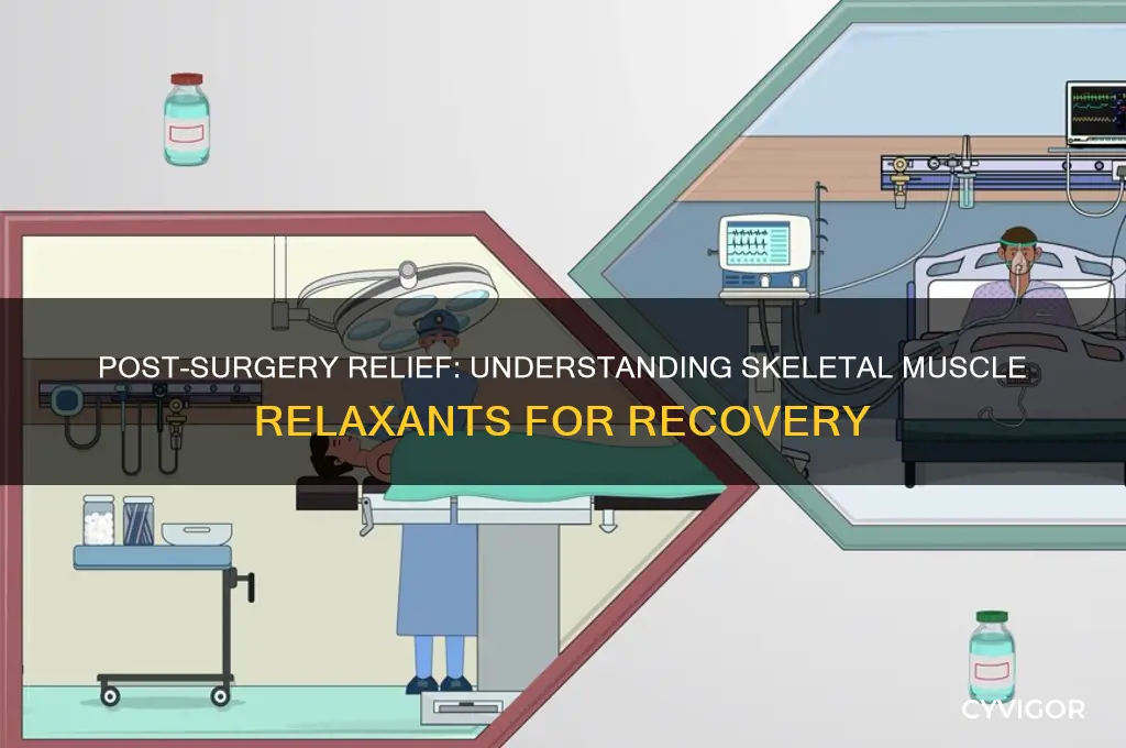 Post-Surgery Relief: Understanding Skeletal Muscle Relaxants For ...