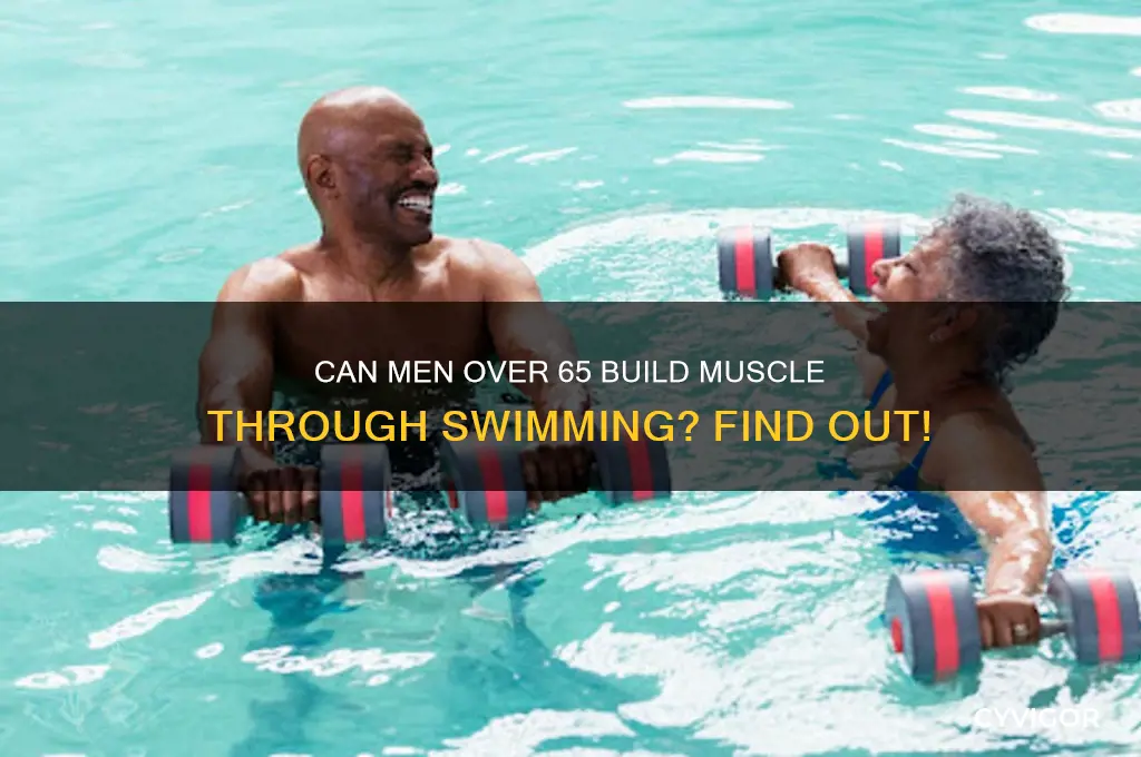 Can Men Over 65 Build Muscle Through Swimming? Find Out! | CyVigor