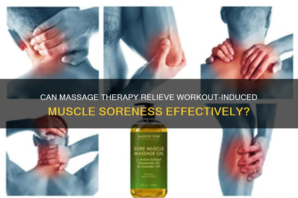 Can Massage Therapy Relieve Workout-Induced Muscle Soreness Effectively ...