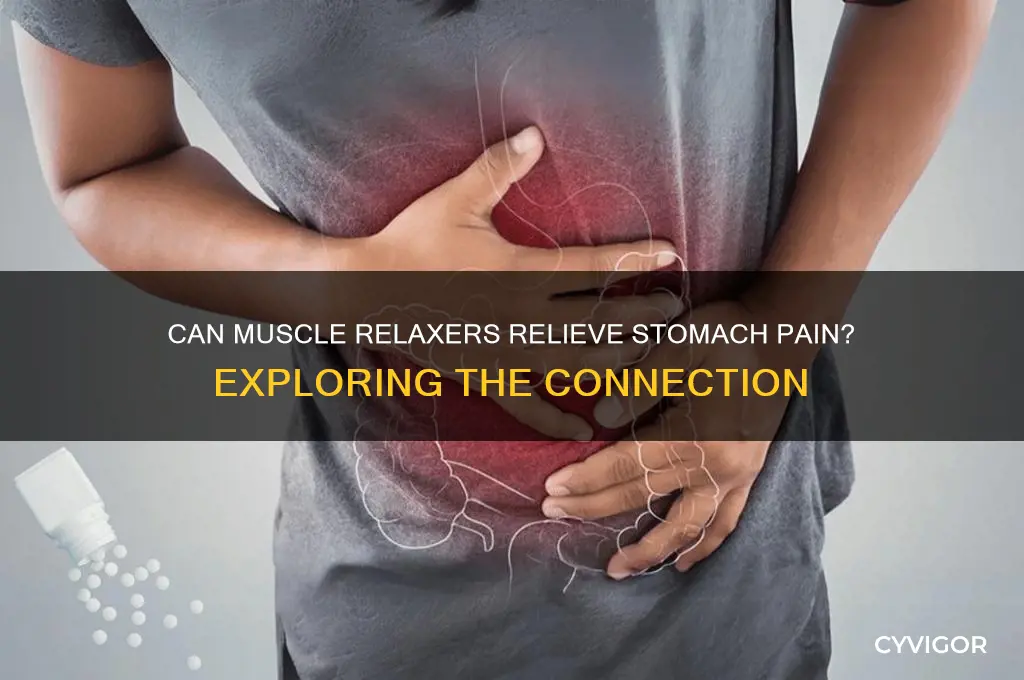 Can Muscle Relaxers Relieve Stomach Pain? Exploring The Connection ...