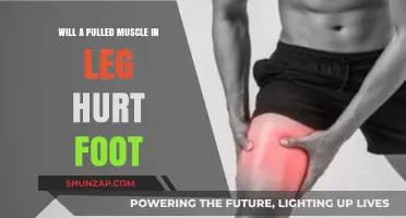 Can Ultrasound Detect Pulled Muscles? Imaging Insights Revealed | CyVigor