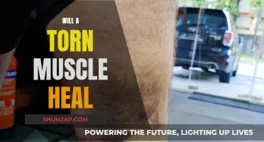 Mastering Muscle Memory: Forearm Flexes And Tricks To Remember | CyVigor