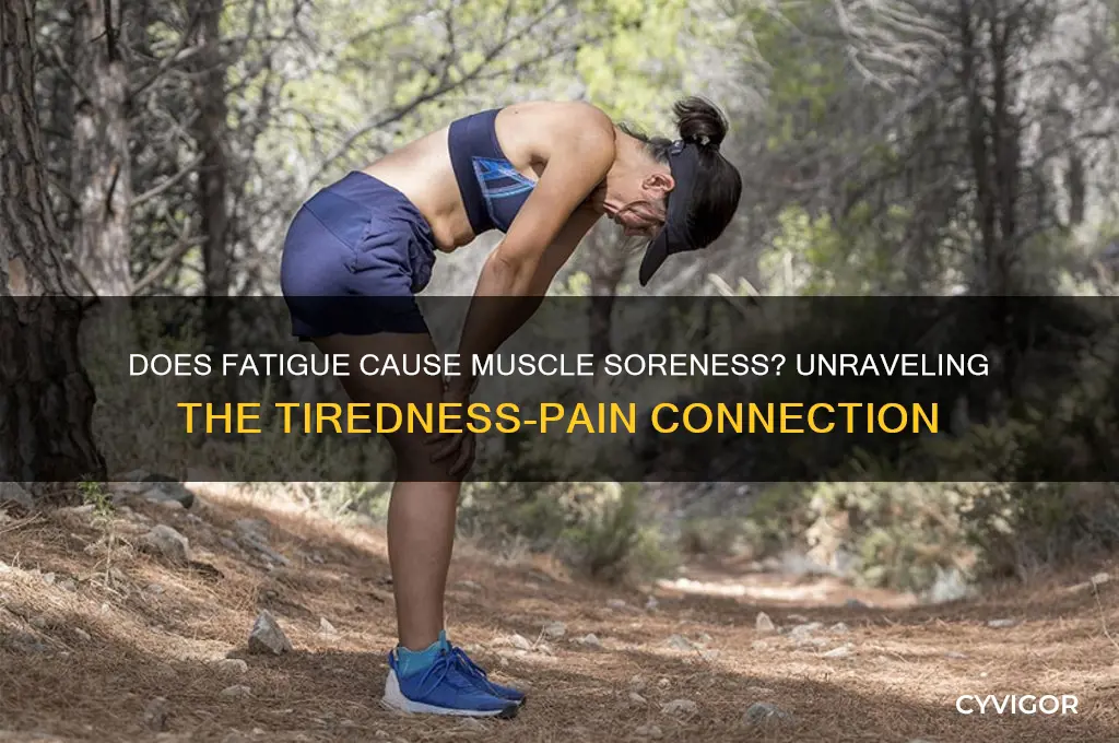 Does Fatigue Cause Muscle Soreness? Unraveling The Tiredness-Pain ...