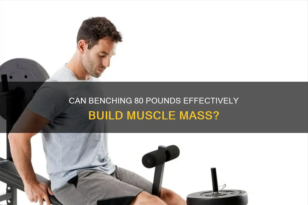 Can Benching 80 Pounds Effectively Build Muscle Mass? | CyVigor