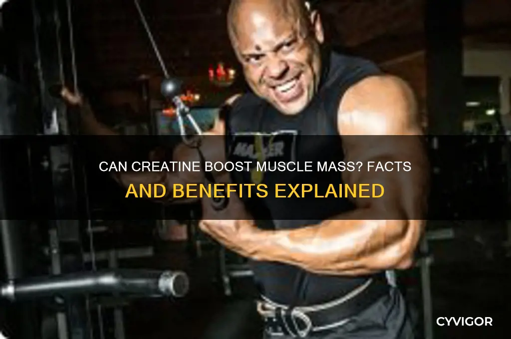 Can Creatine Boost Muscle Mass? Facts And Benefits Explained | CyVigor