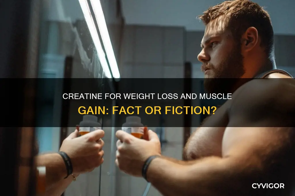 Creatine For Weight Loss And Muscle Gain: Fact Or Fiction? | CyVigor