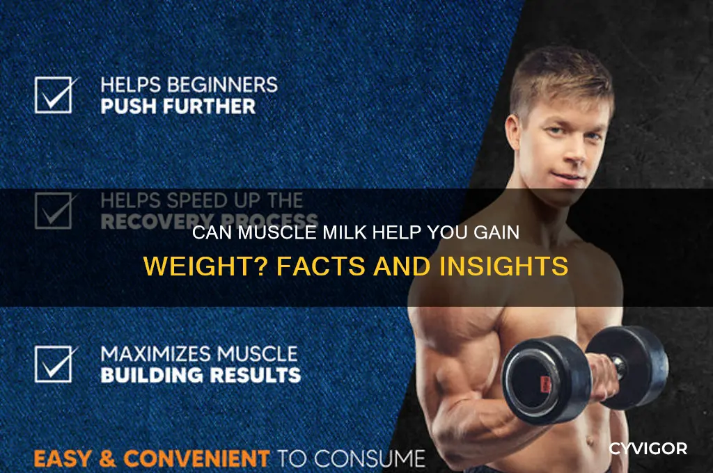Can Muscle Milk Help You Gain Weight? Facts And Insights | CyVigor