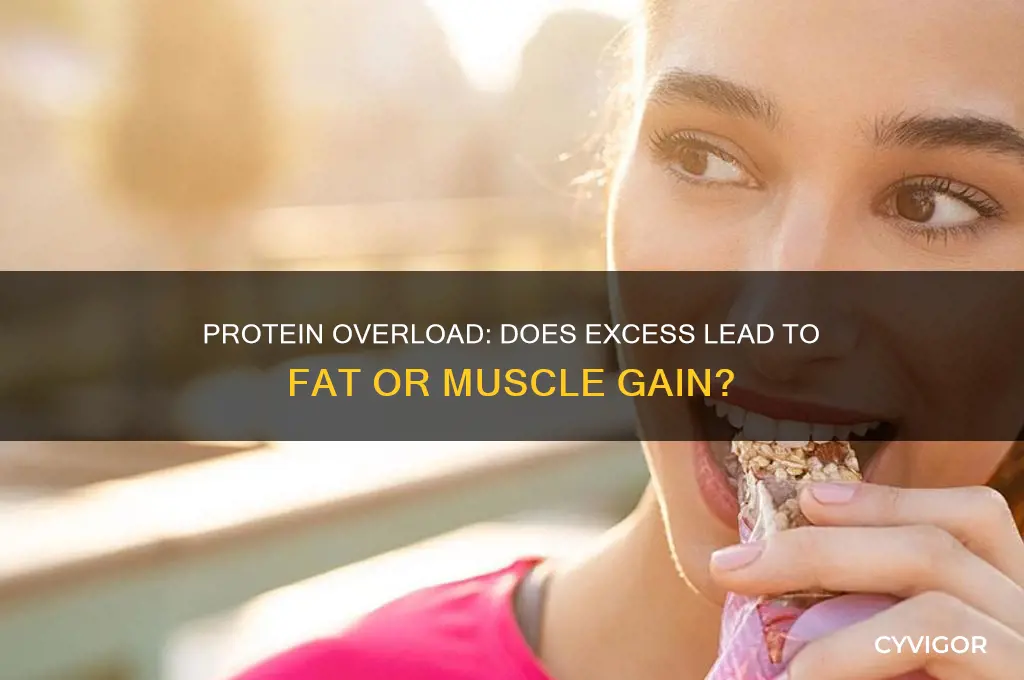 Protein Overload: Does Excess Lead To Fat Or Muscle Gain? | CyVigor