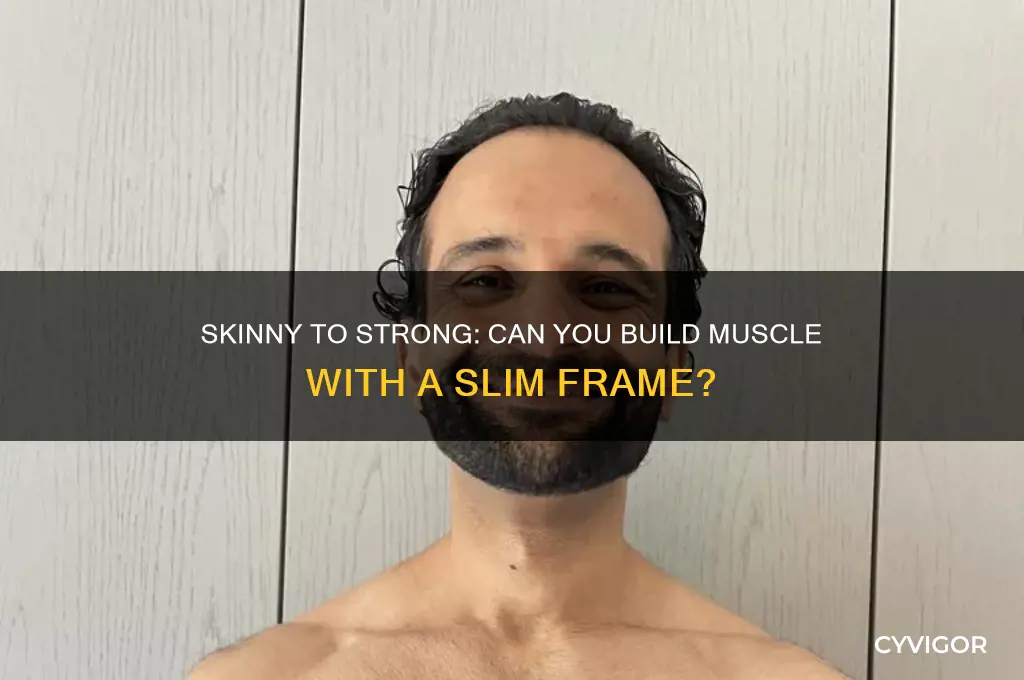 Skinny To Strong: Can You Build Muscle With A Slim Frame? | CyVigor