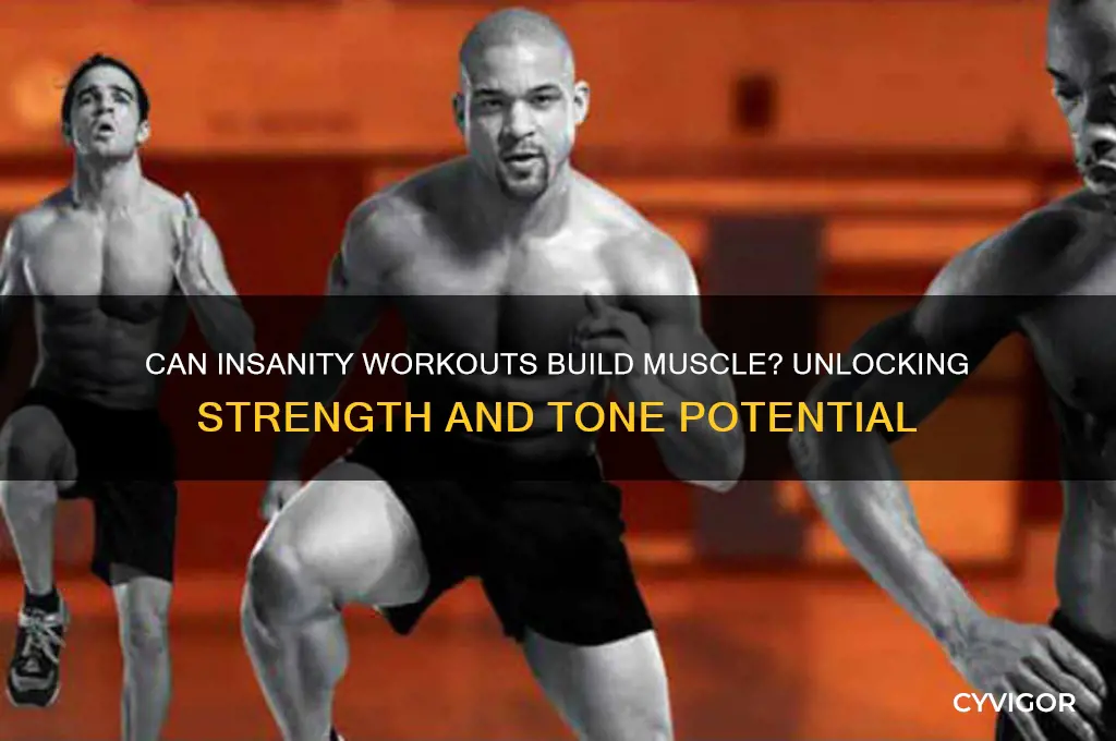 Can Insanity Workouts Build Muscle? Unlocking Strength And Tone ...