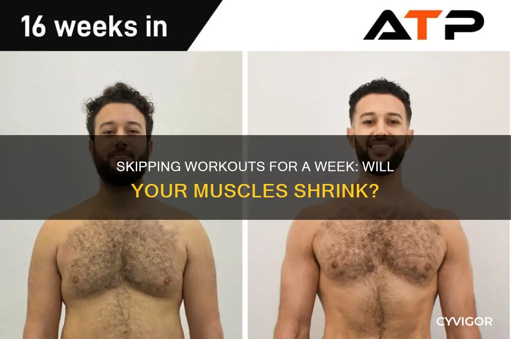 Skipping Workouts For A Week: Will Your Muscles Shrink? | CyVigor