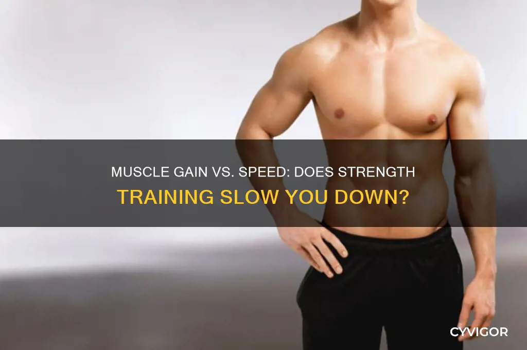 Muscle Gain Vs. Speed: Does Strength Training Slow You Down? | CyVigor