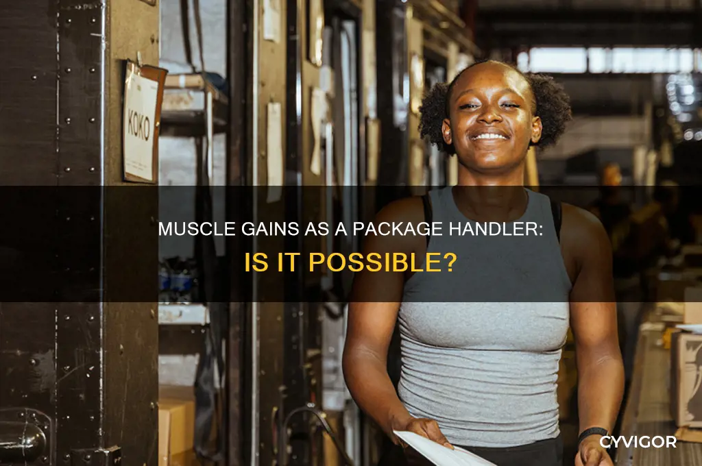 Muscle Gains As A Package Handler: Is It Possible? | CyVigor