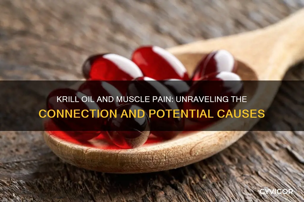 Krill Oil And Muscle Pain: Unraveling The Connection And Potential ...