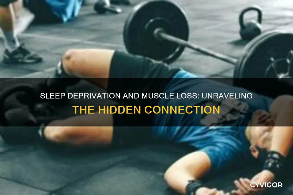 Sleep Deprivation And Muscle Loss: Unraveling The Hidden Connection ...