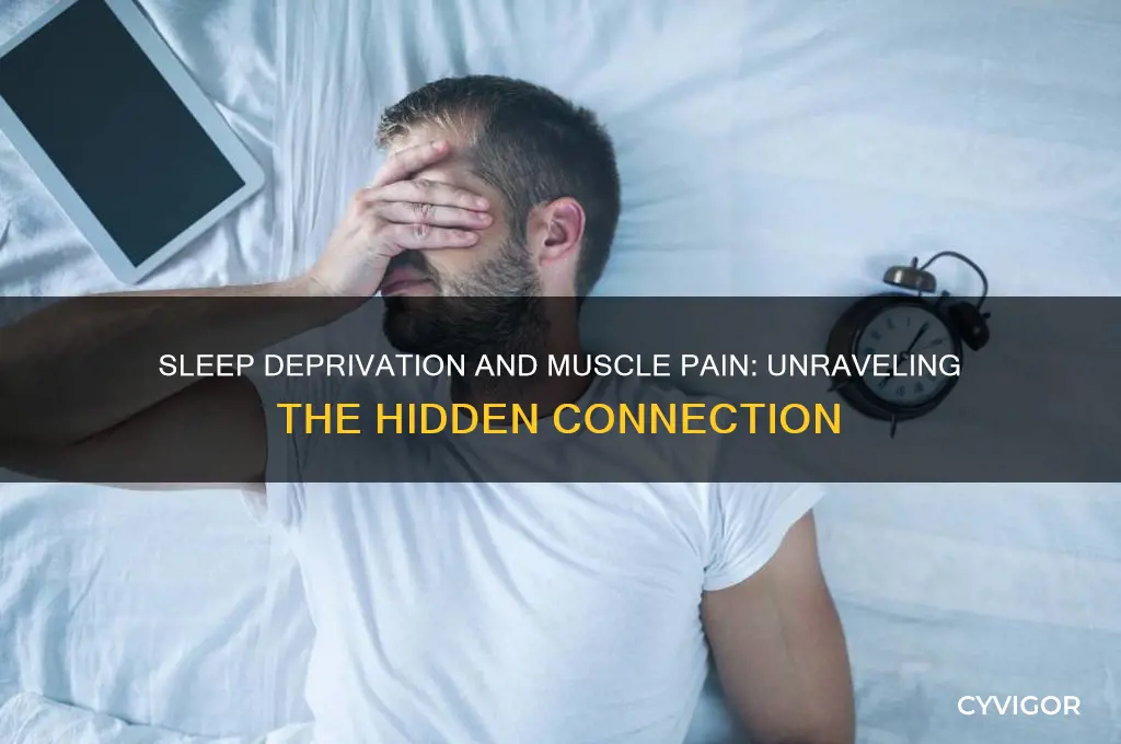Sleep Deprivation And Muscle Pain: Unraveling The Hidden Connection ...