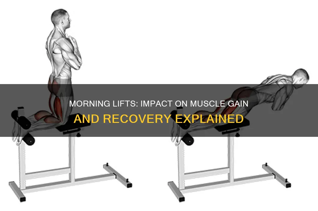 Morning Lifts: Impact On Muscle Gain And Recovery Explained | CyVigor