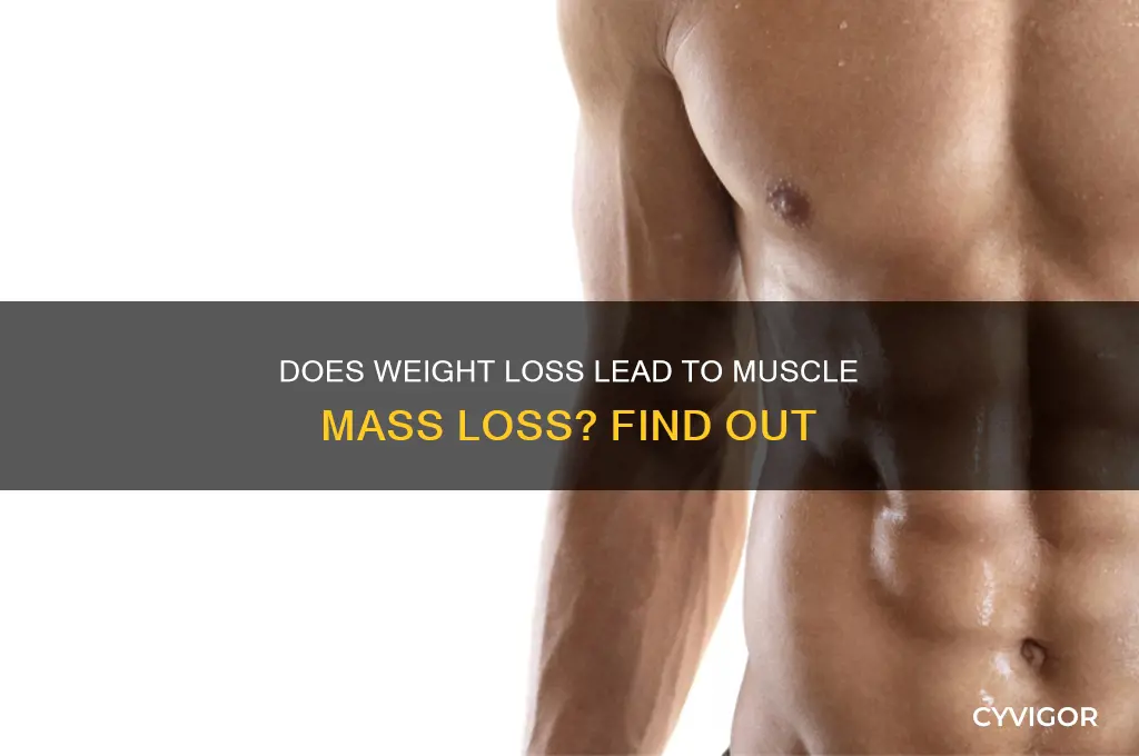 Does Weight Loss Lead To Muscle Mass Loss? Find Out | CyVigor