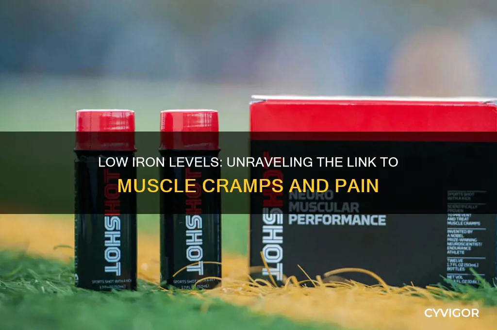 Low Iron Levels: Unraveling The Link To Muscle Cramps And Pain | CyVigor
