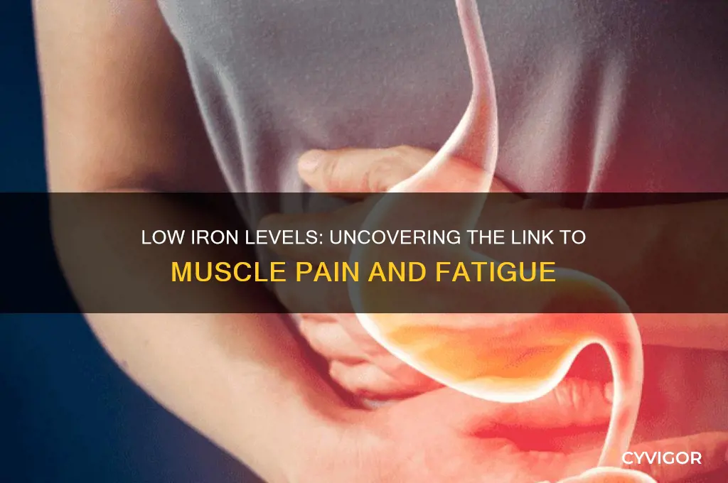 Low Iron Levels: Uncovering The Link To Muscle Pain And Fatigue | CyVigor